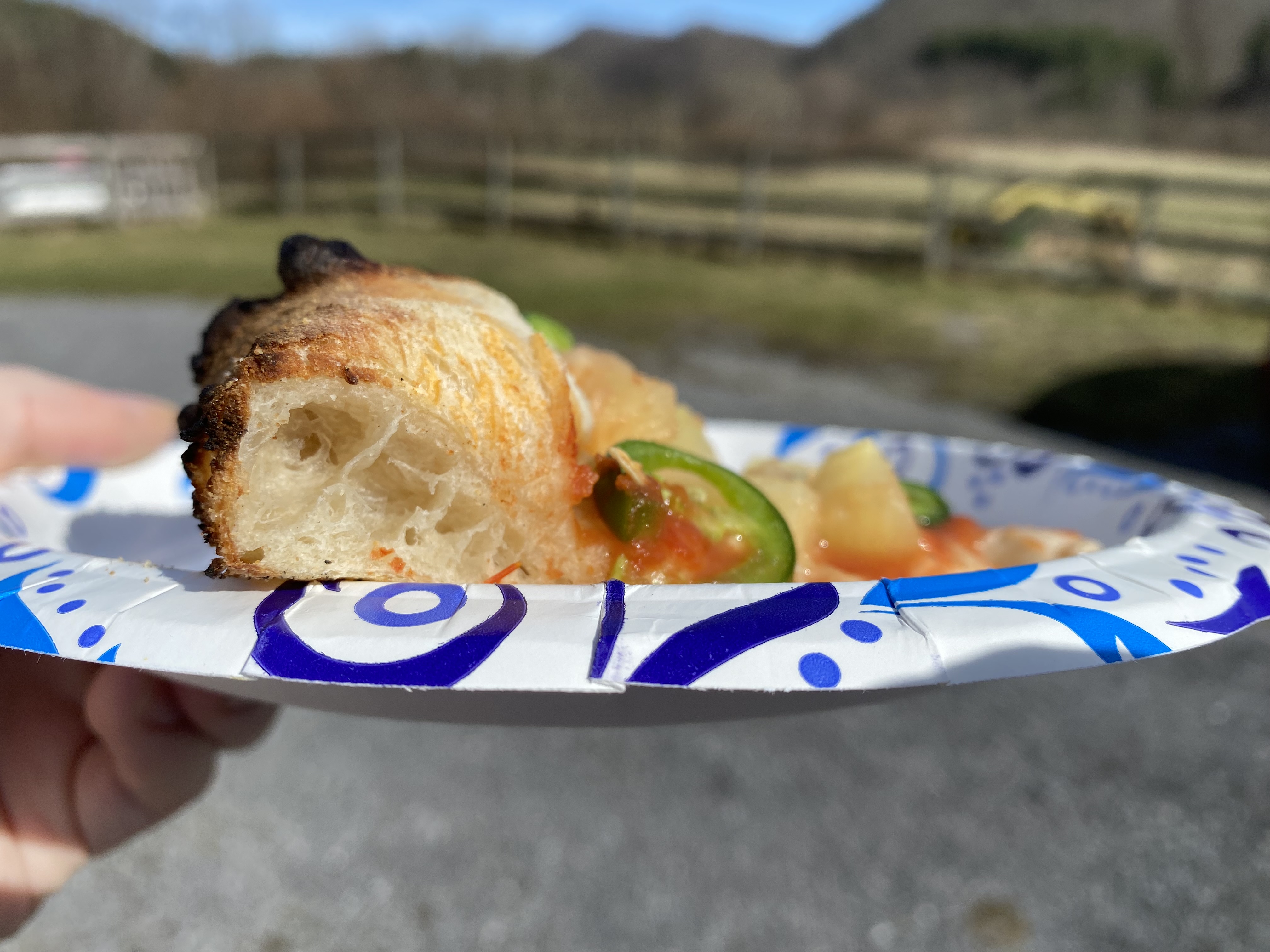 Stoke Pizza Oven: Review of the Updated 2024 Model – Grizzly BBQ